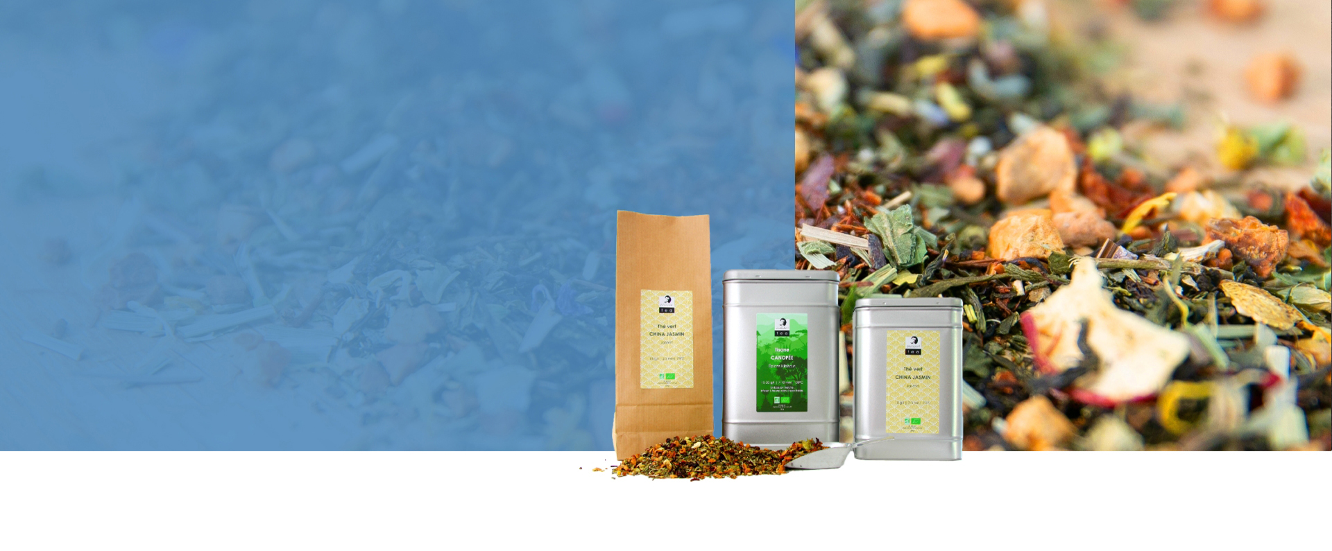 Accueil - Passport Tea